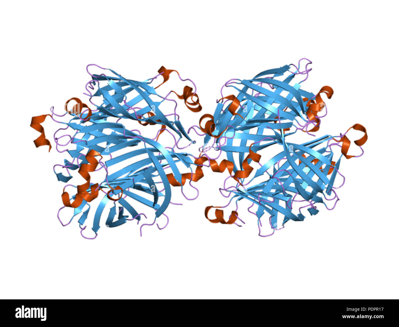 Number 283 Cut Out Stock Images & Pictures - Alamy