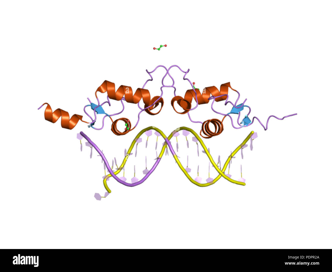 Identification image Cut Out Stock Images & Pictures - Alamy