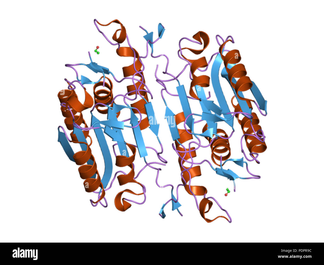 Imaging dynamics hi-res stock photography and images - Alamy