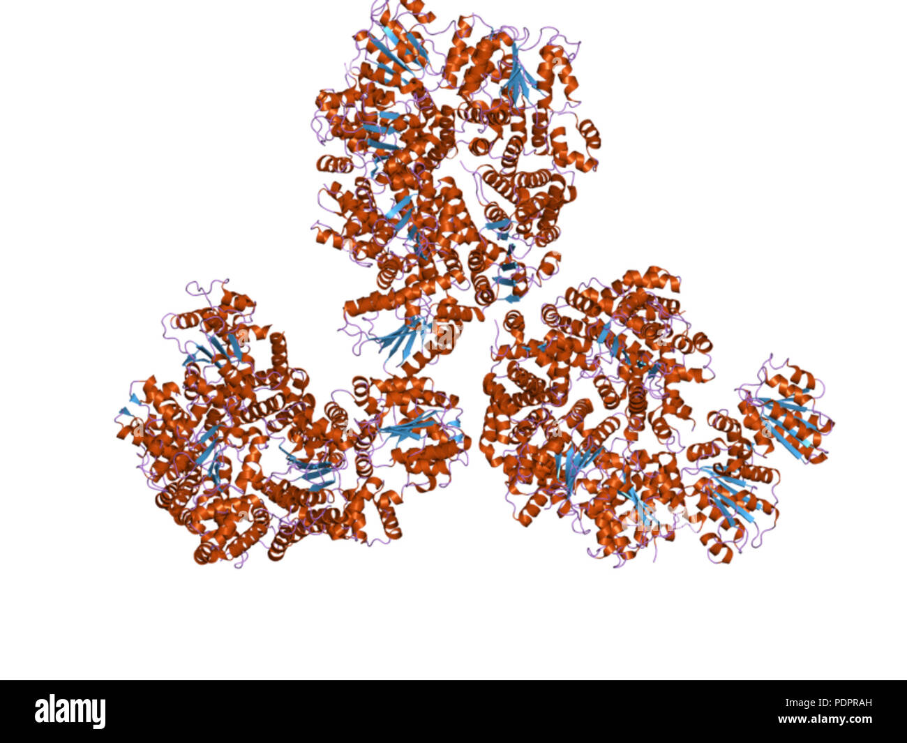 284 PDB 3glh EBI Stock Photo - Alamy