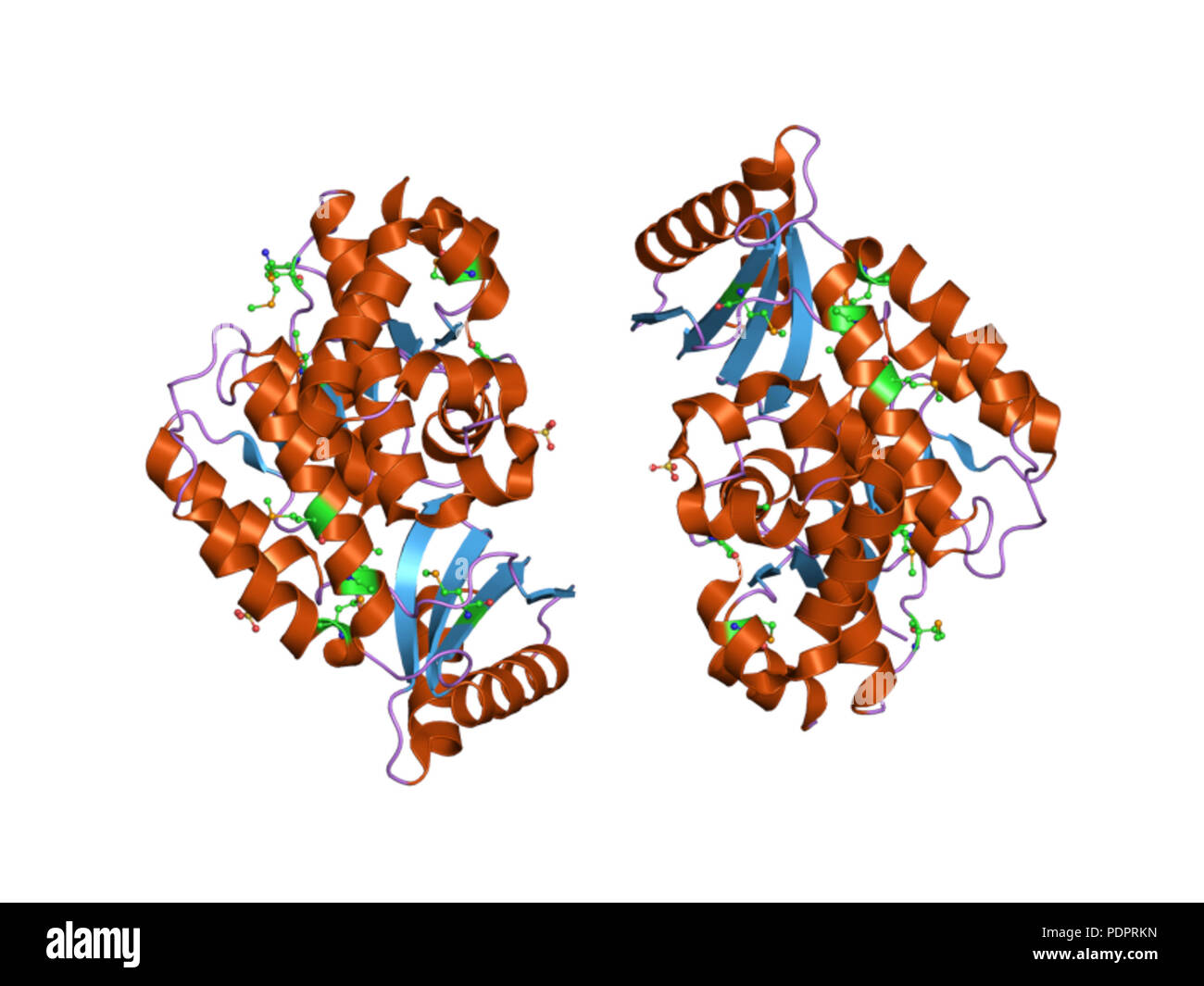 286 PDB 3h0p EBI Stock Photo - Alamy