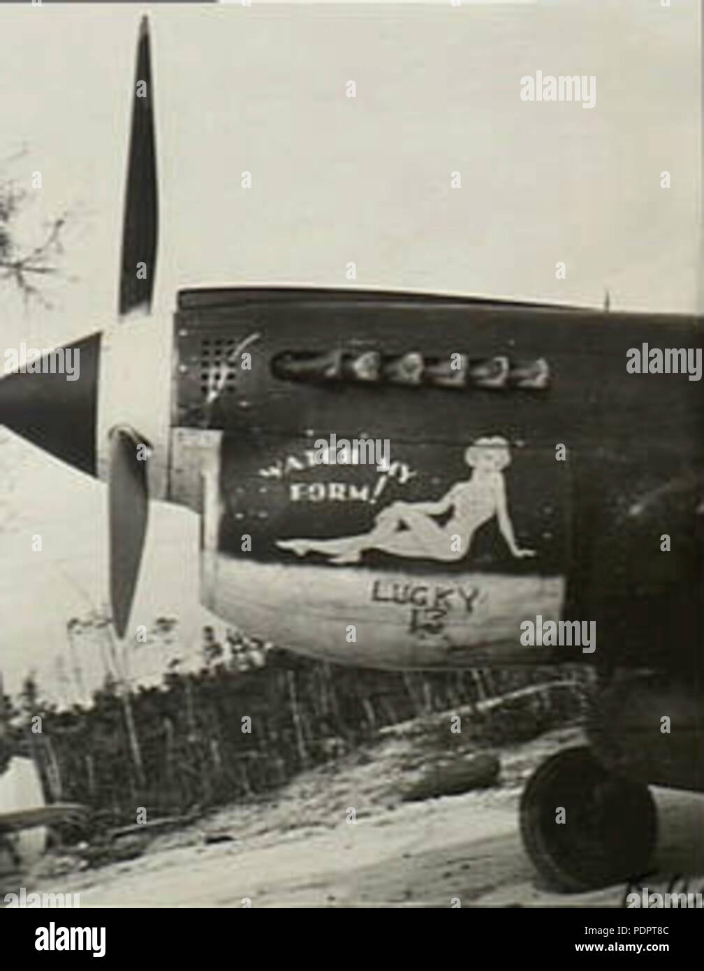 8 78 Squadron RAAF Kittyhawk nose art New Guinea 1944 AWM OG1544 Stock ...