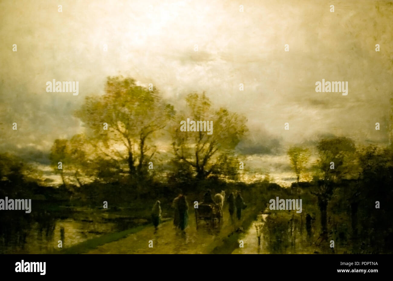 Marshy terrain hi-res stock photography and images - Alamy