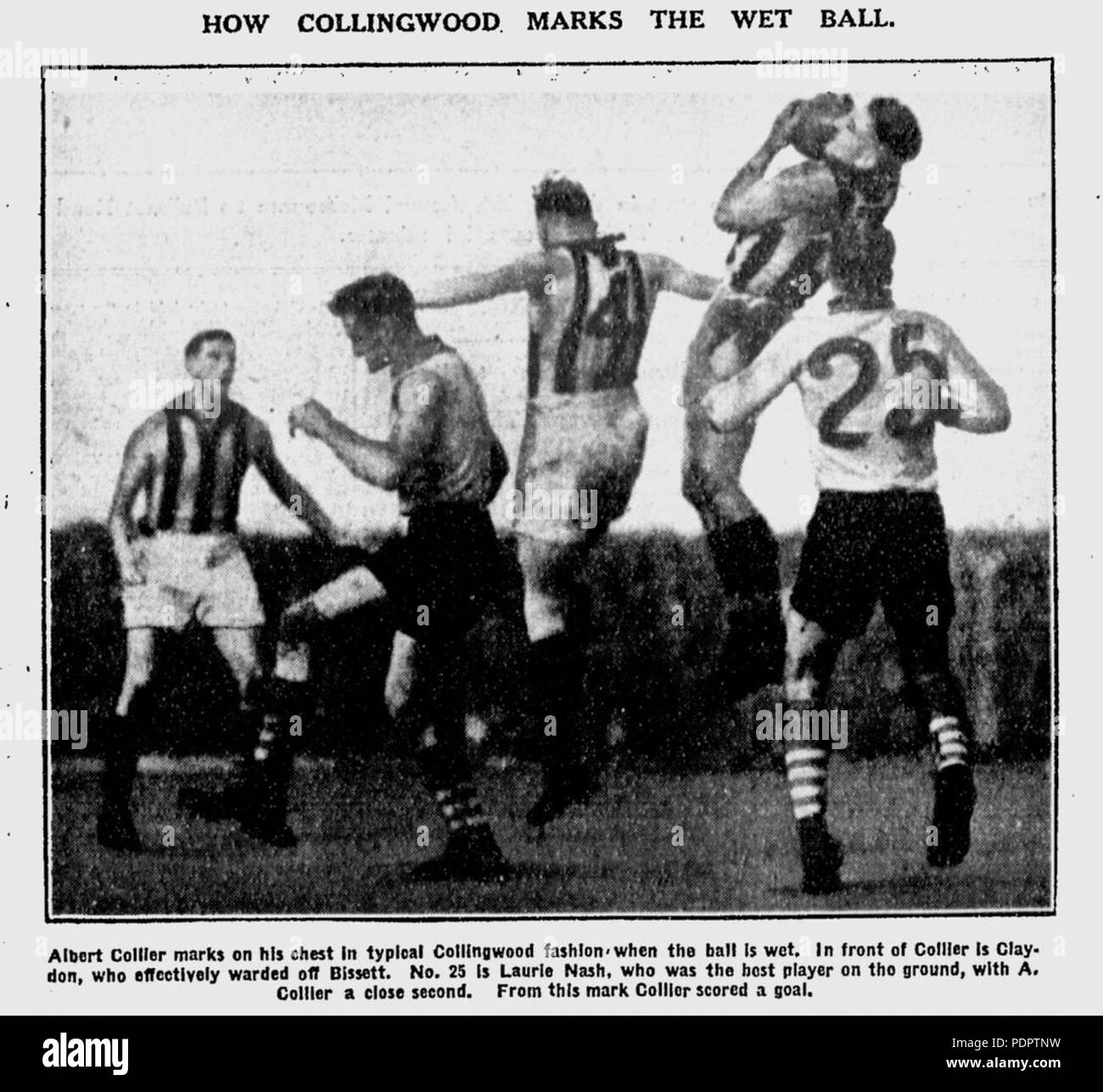 11 Albert Collier marking Stock Photo - Alamy