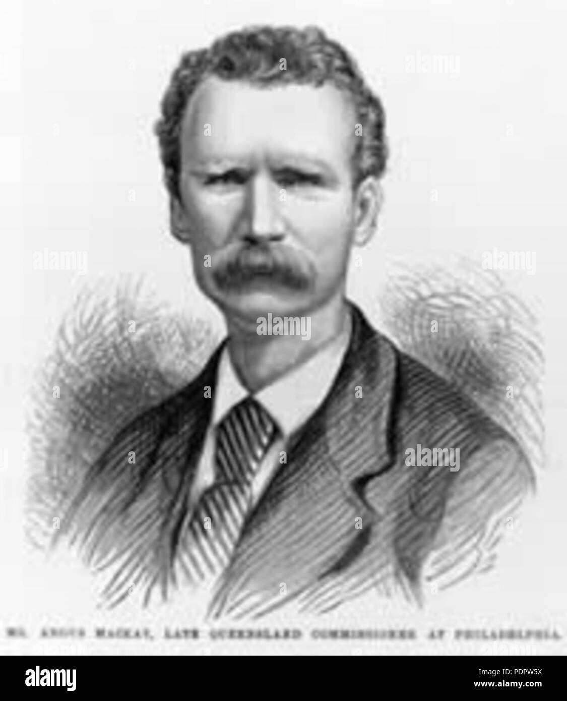 13 Angus Mackay - Queensland Politician Stock Photo - Alamy