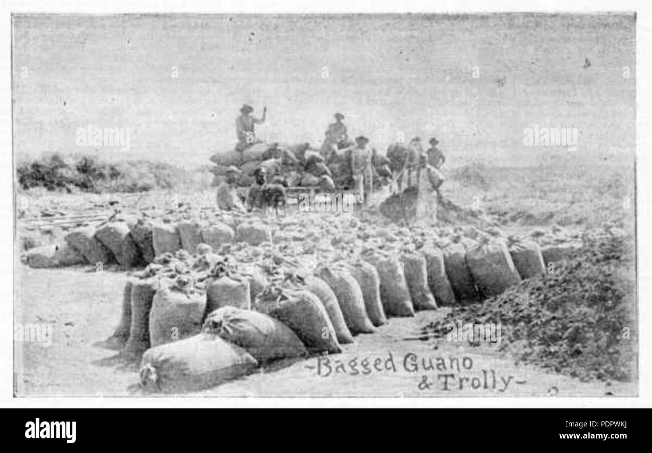 Guano Black and White Stock Photos & Images - Alamy