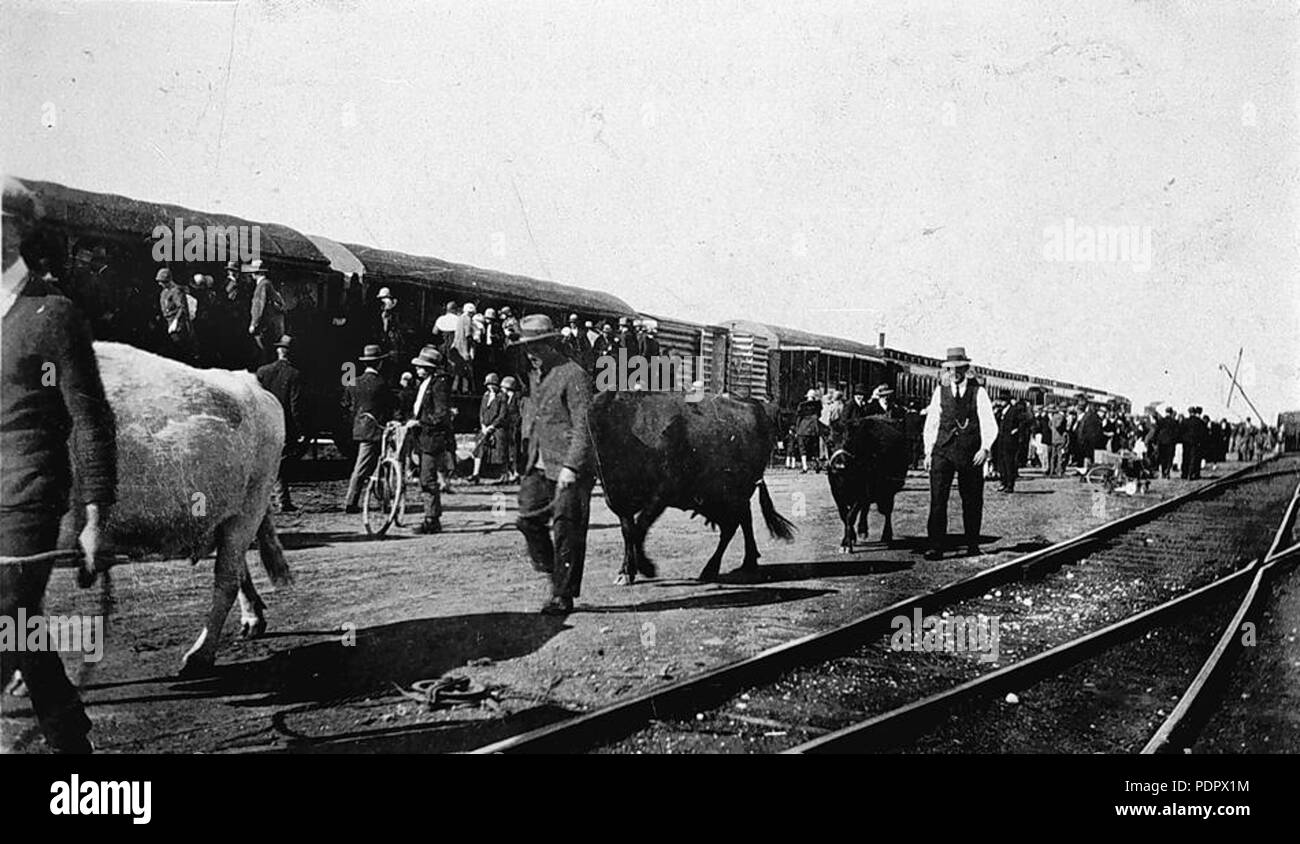 23 Better Farming Train Mildura 1926 Stock Photo - Alamy