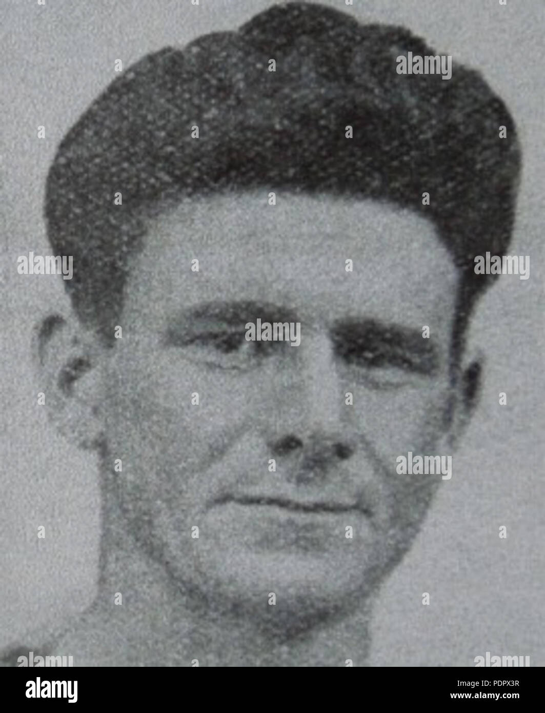 Bill barry hi-res stock photography and images - Alamy