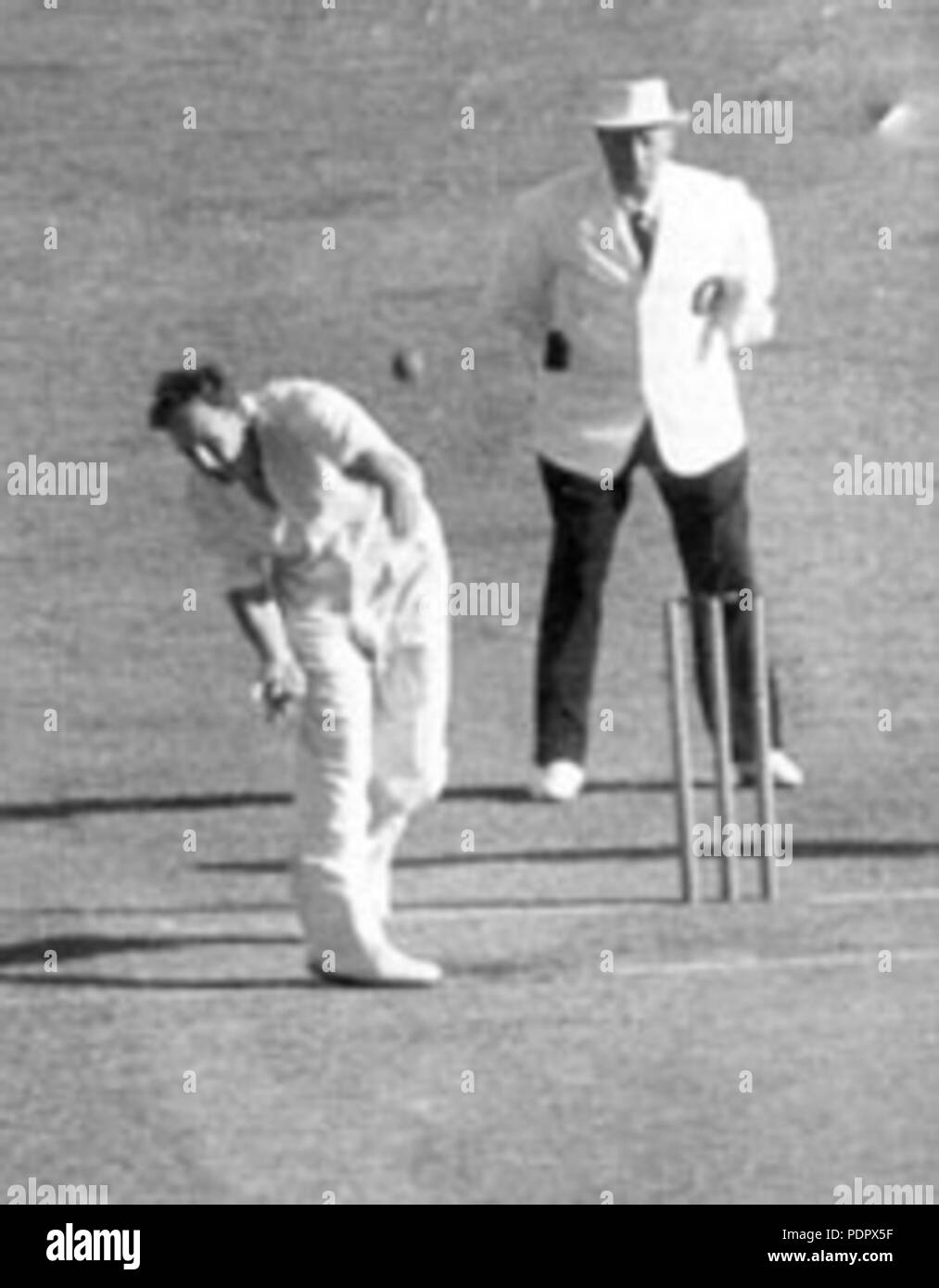 Bill johnston hi-res stock photography and images - Alamy