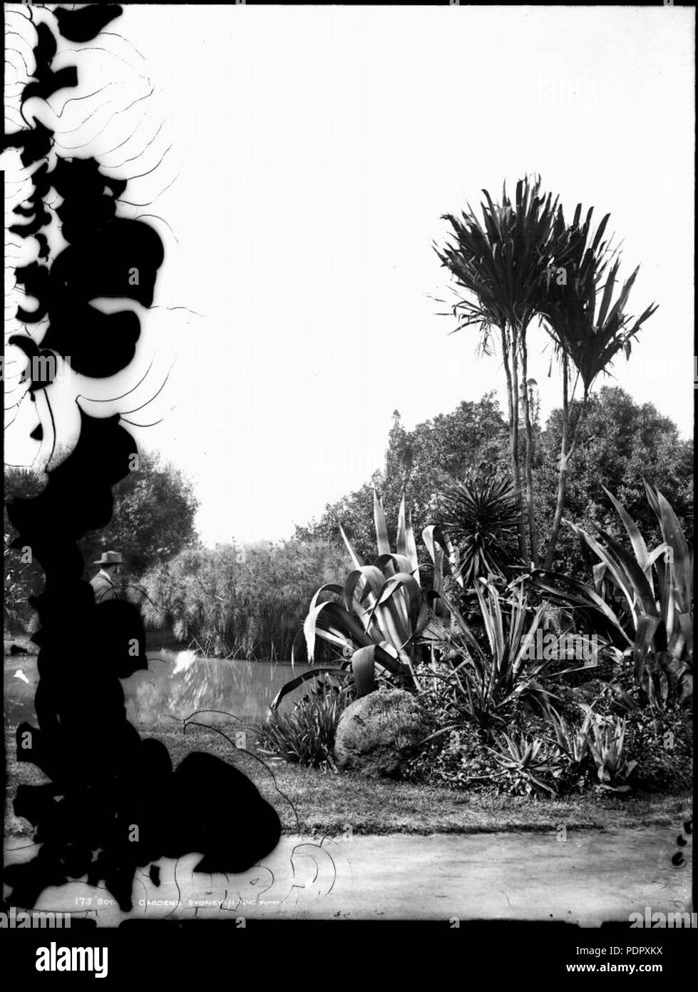 Gardens wildlife Black and White Stock Photos & Images - Alamy