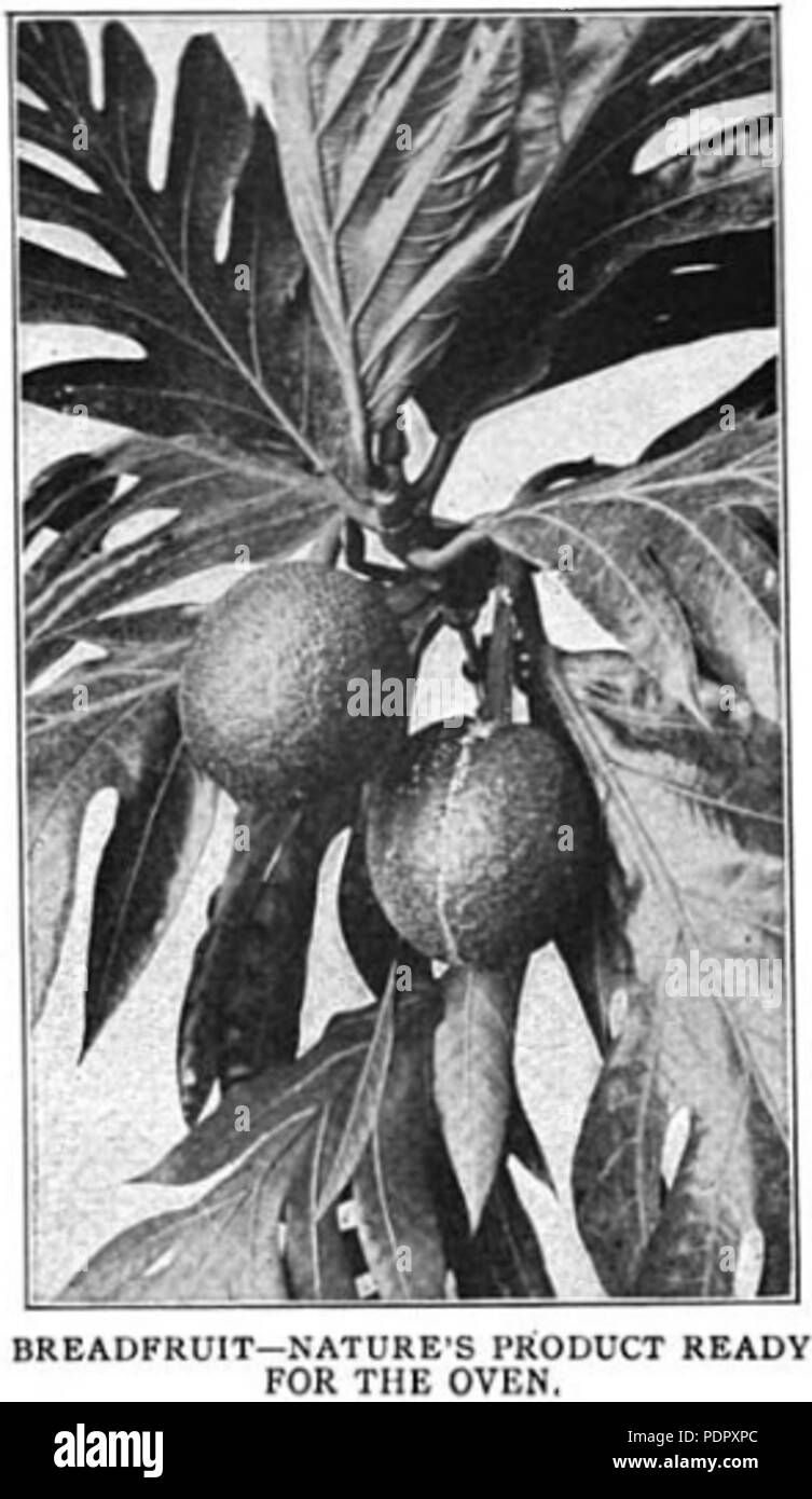 Forty years Black and White Stock Photos & Images - Alamy