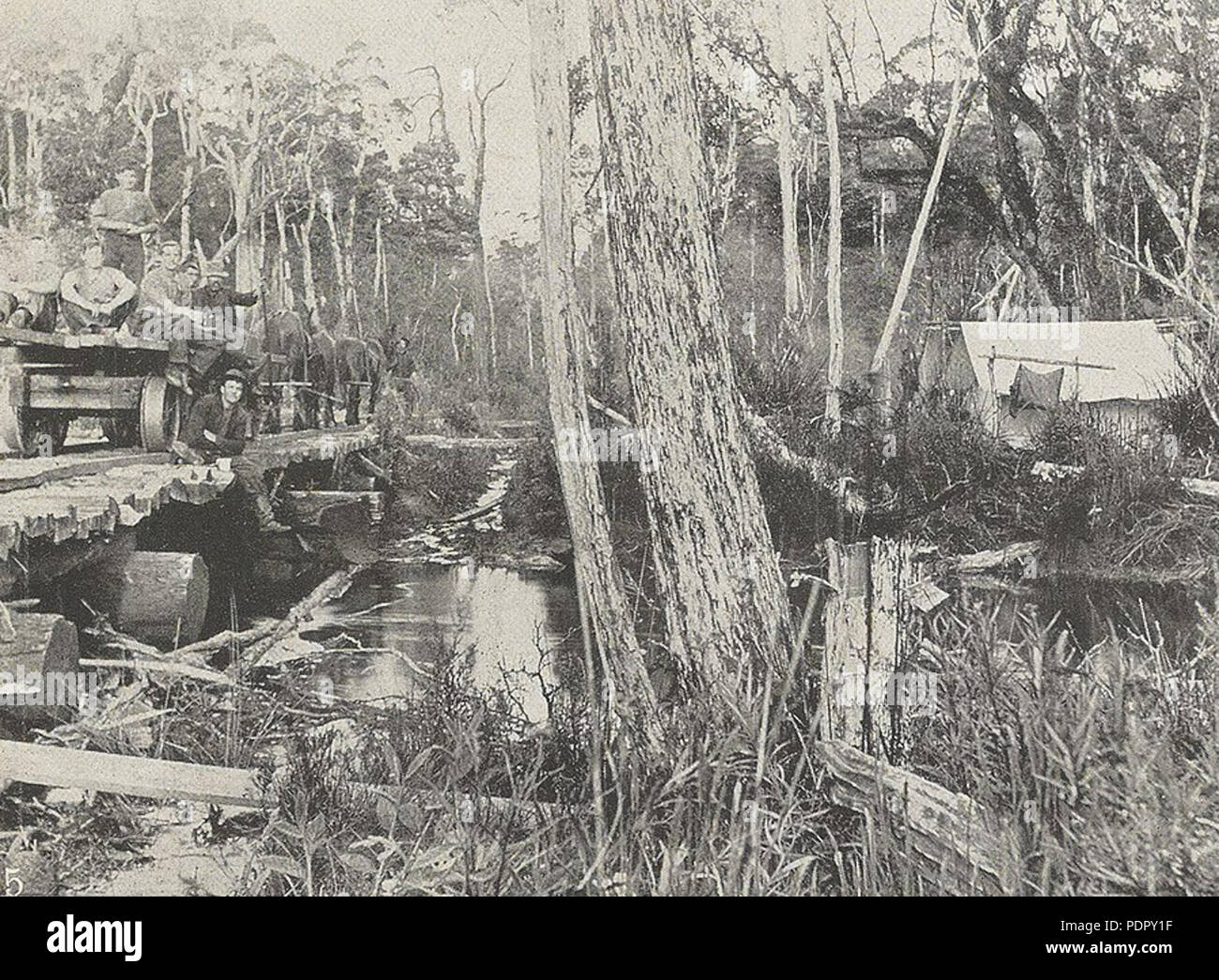 28 Building the Marrawah Tramway - Bridging the Welcome River, 1913 ...