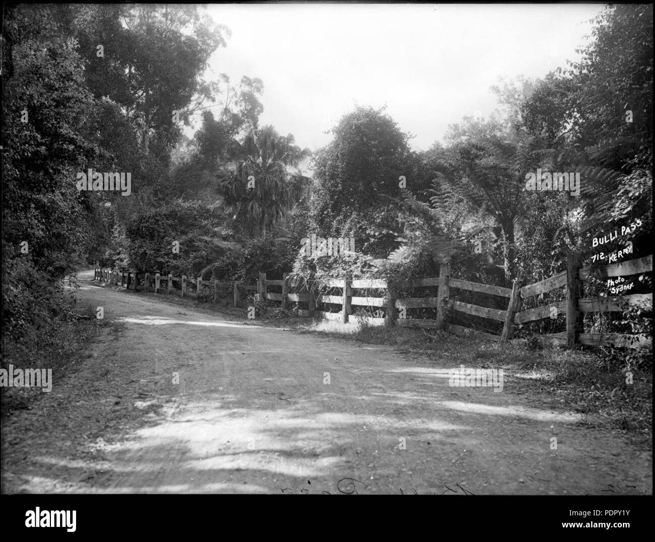 Bulli Pass High Resolution Stock Photography and Images - Alamy