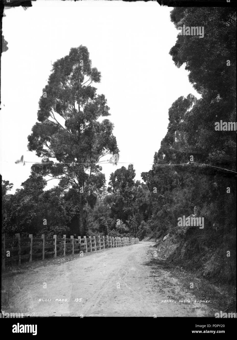 Bulli pass hi-res stock photography and images - Alamy