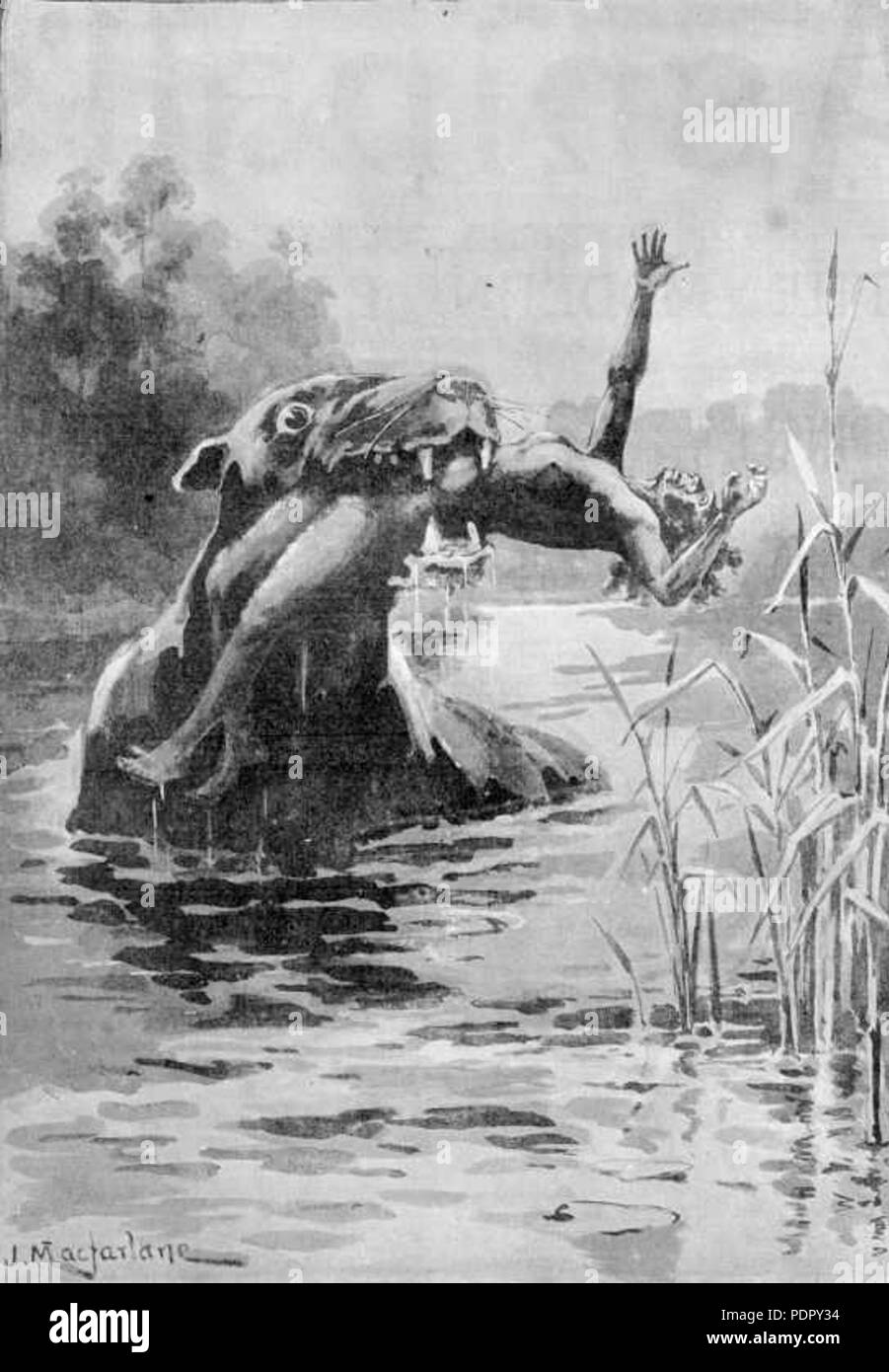 Bunyip hi-res stock photography and images - Alamy