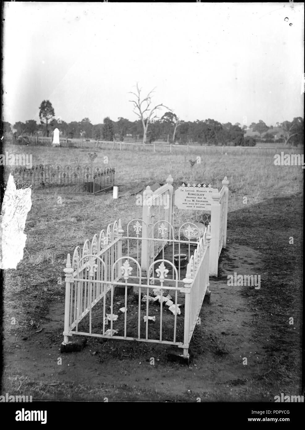 36 Country cemetery, small grave of Kingsley Shiphard (3169114178 Stock ...
