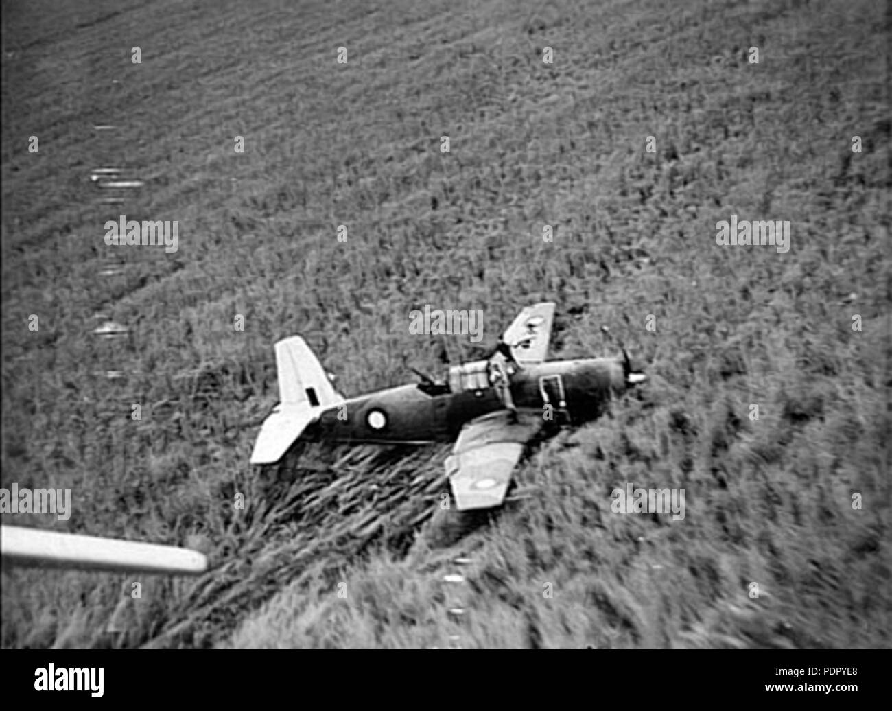 36 Crashed Vengeance bomber of 24 Sqn RAAF 1944 Stock Photo - Alamy