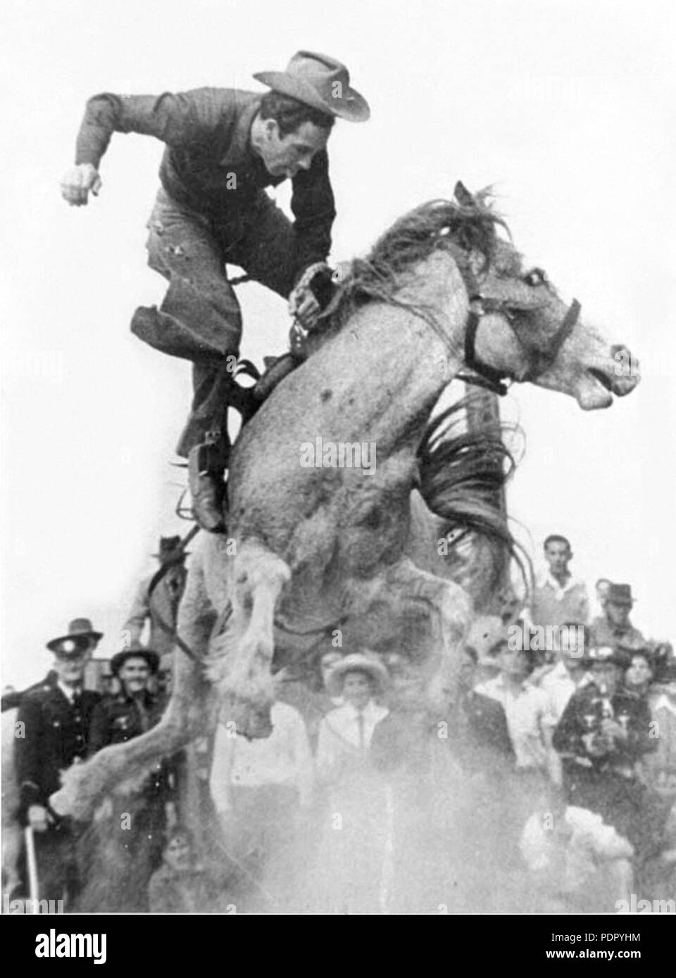 Vintage curio Black and White Stock Photos & Images - Alamy