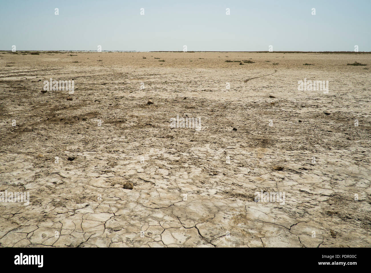 Marshy Soil High Resolution Stock Photography and Images - Alamy