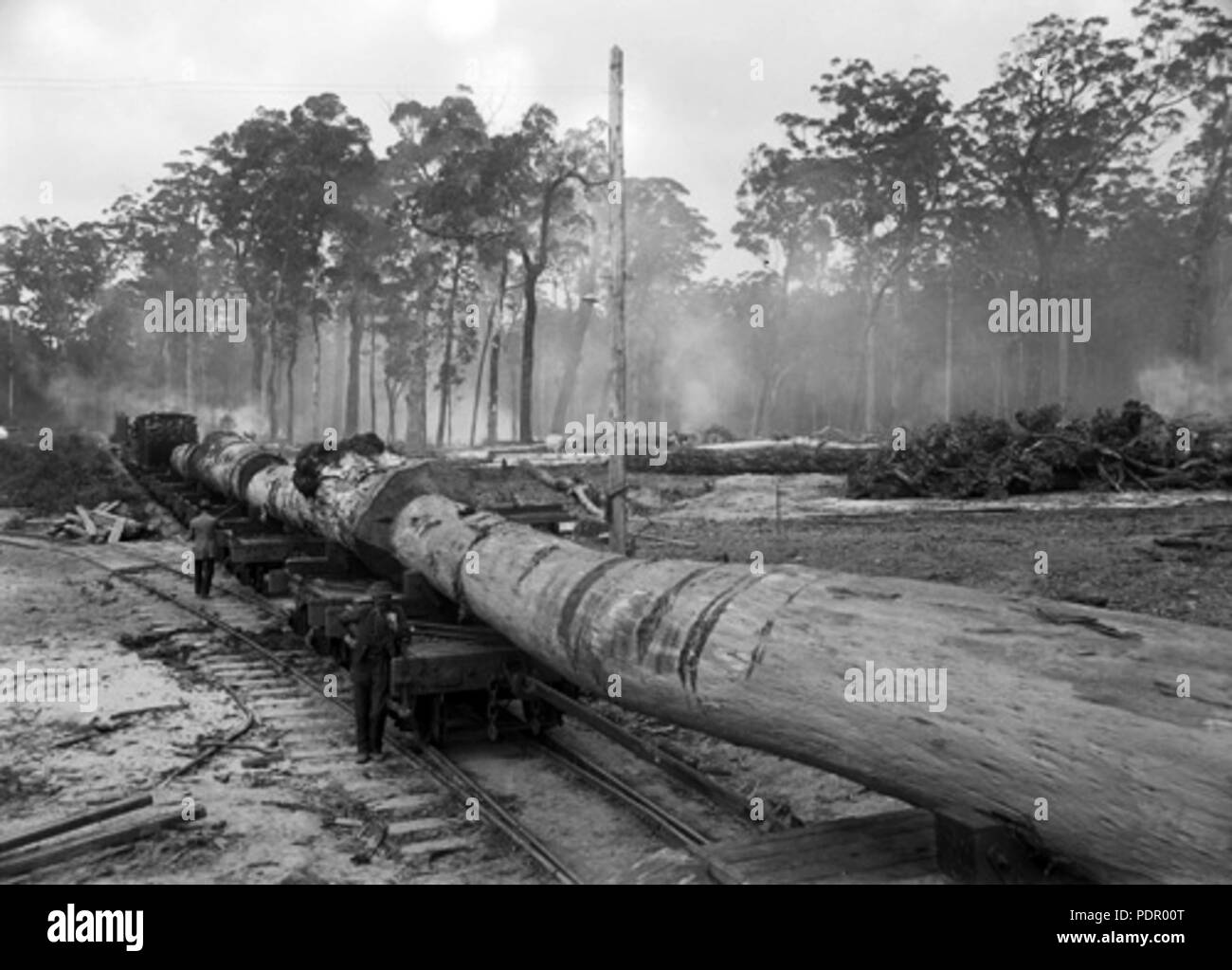 Logs train hi-res stock photography and images - Alamy