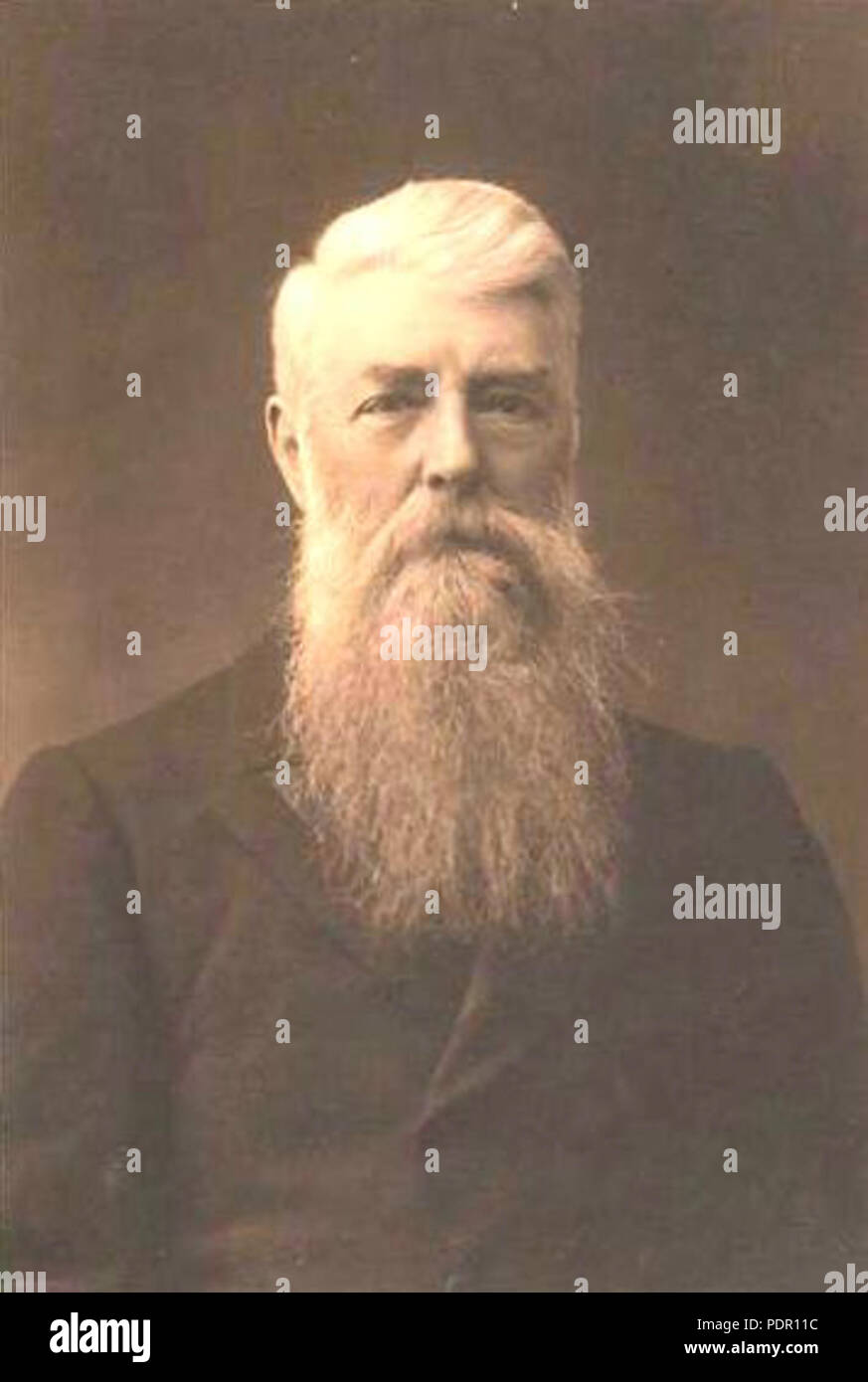 49 Philip fysh Stock Photo - Alamy