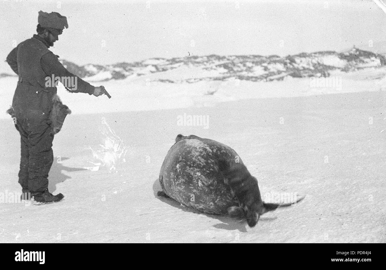 Whetter hi-res stock photography and images - Alamy