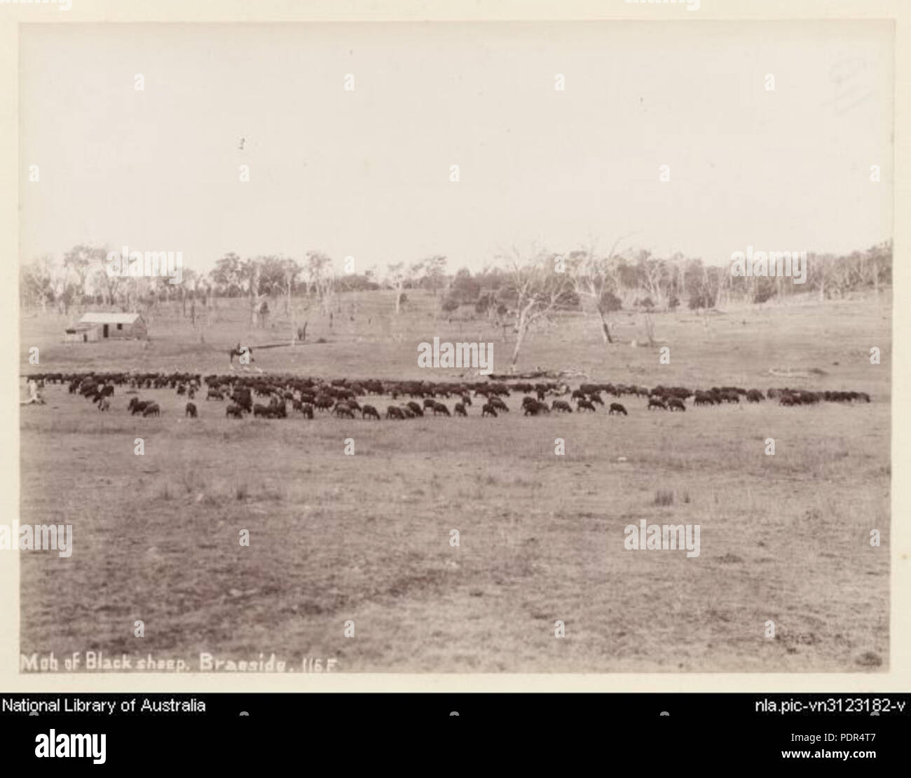 Braeside hi-res stock photography and images - Alamy