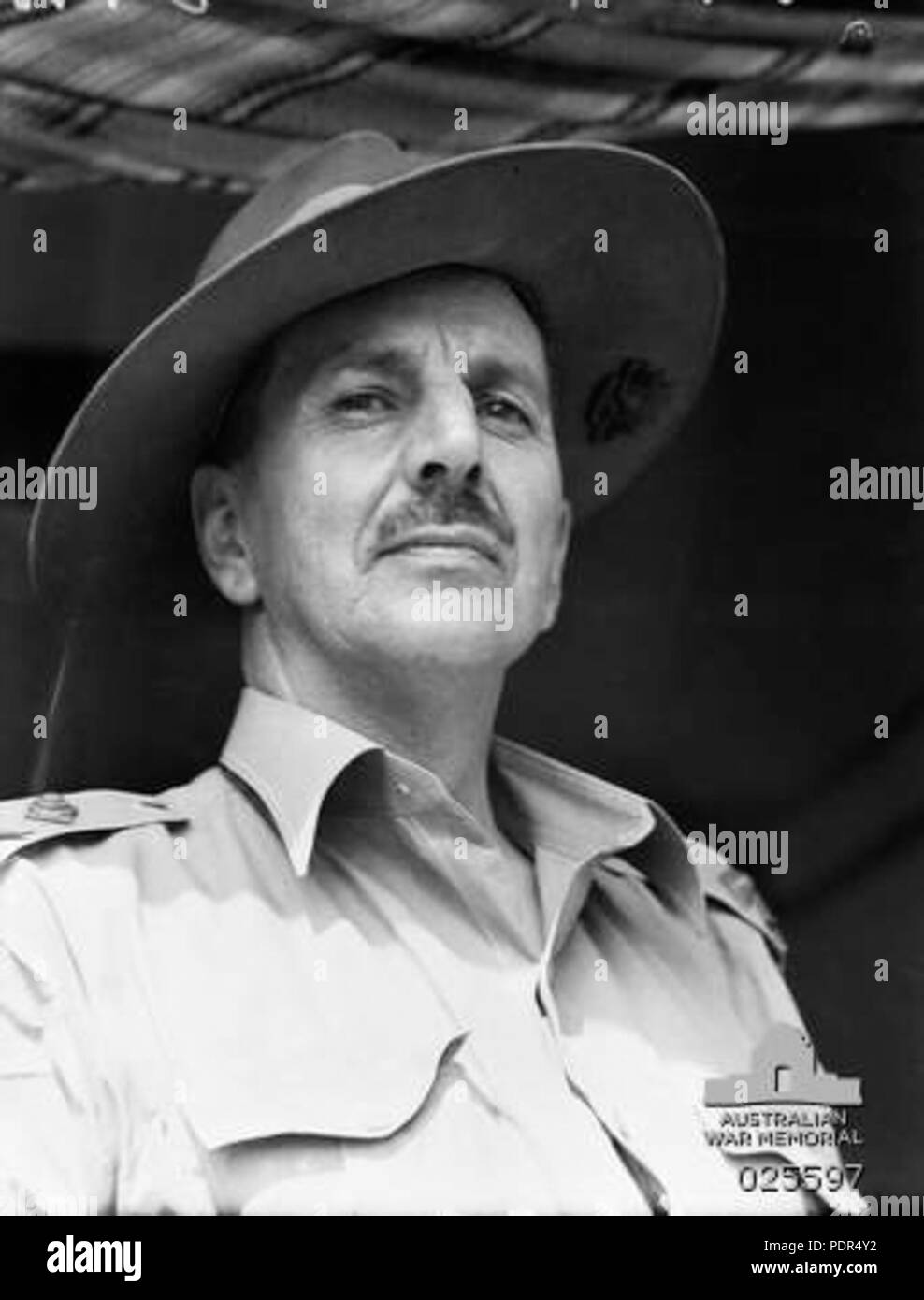 Morris genealogy hi-res stock photography and images - Alamy
