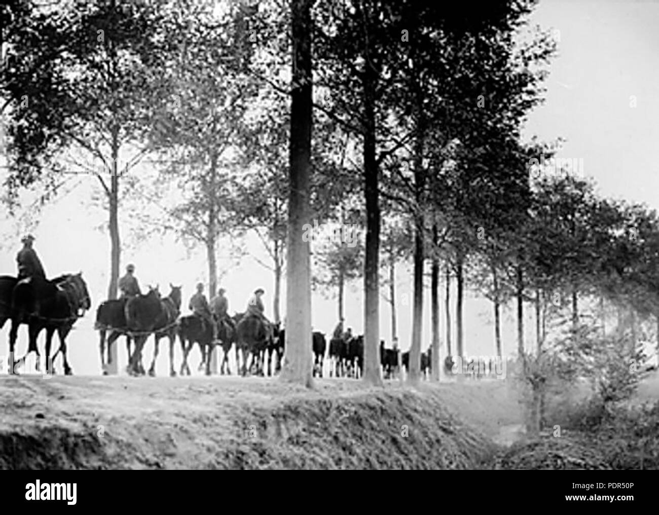 87 Mounted troops moving along the Ypres road Stock Photo - Alamy