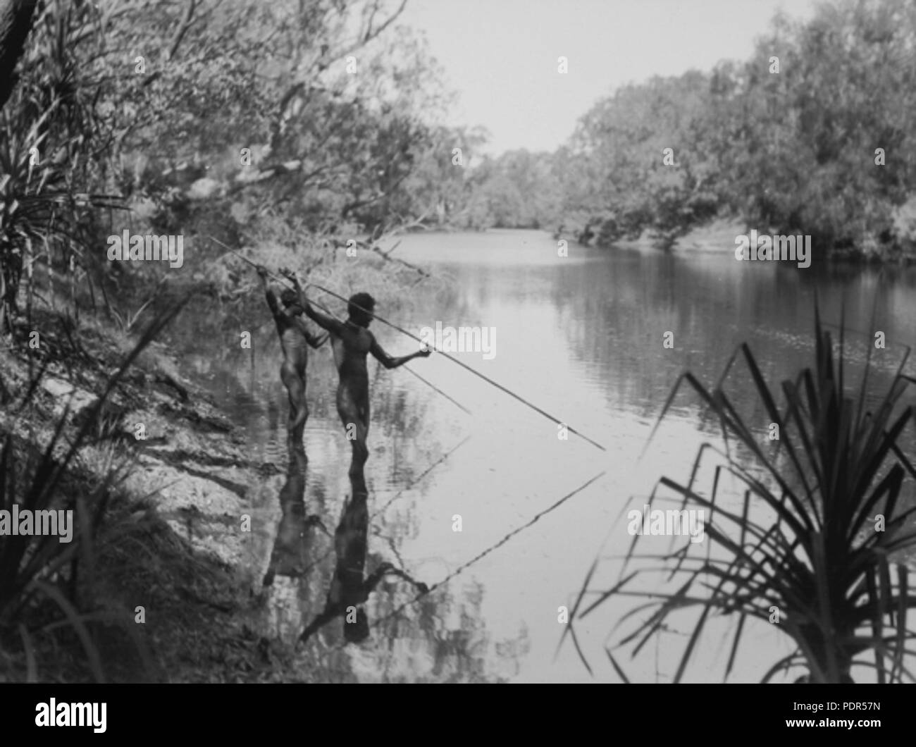 Fish spearing hi-res stock photography and images - Alamy