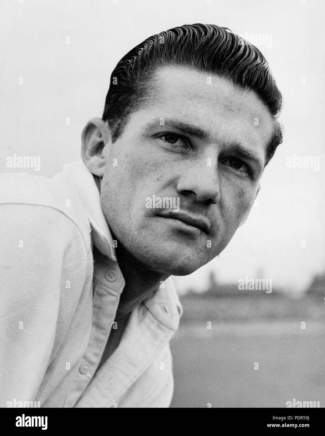 88 Neil Harvey c1950b Stock Photo - Alamy