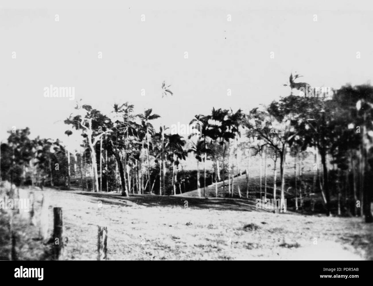 Netherdale hi-res stock photography and images - Alamy