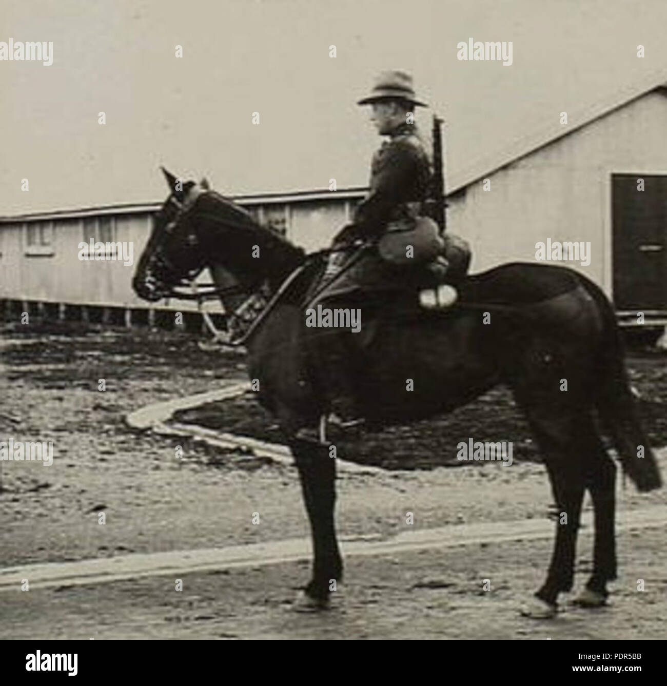 Mounted rifles hi-res stock photography and images - Alamy