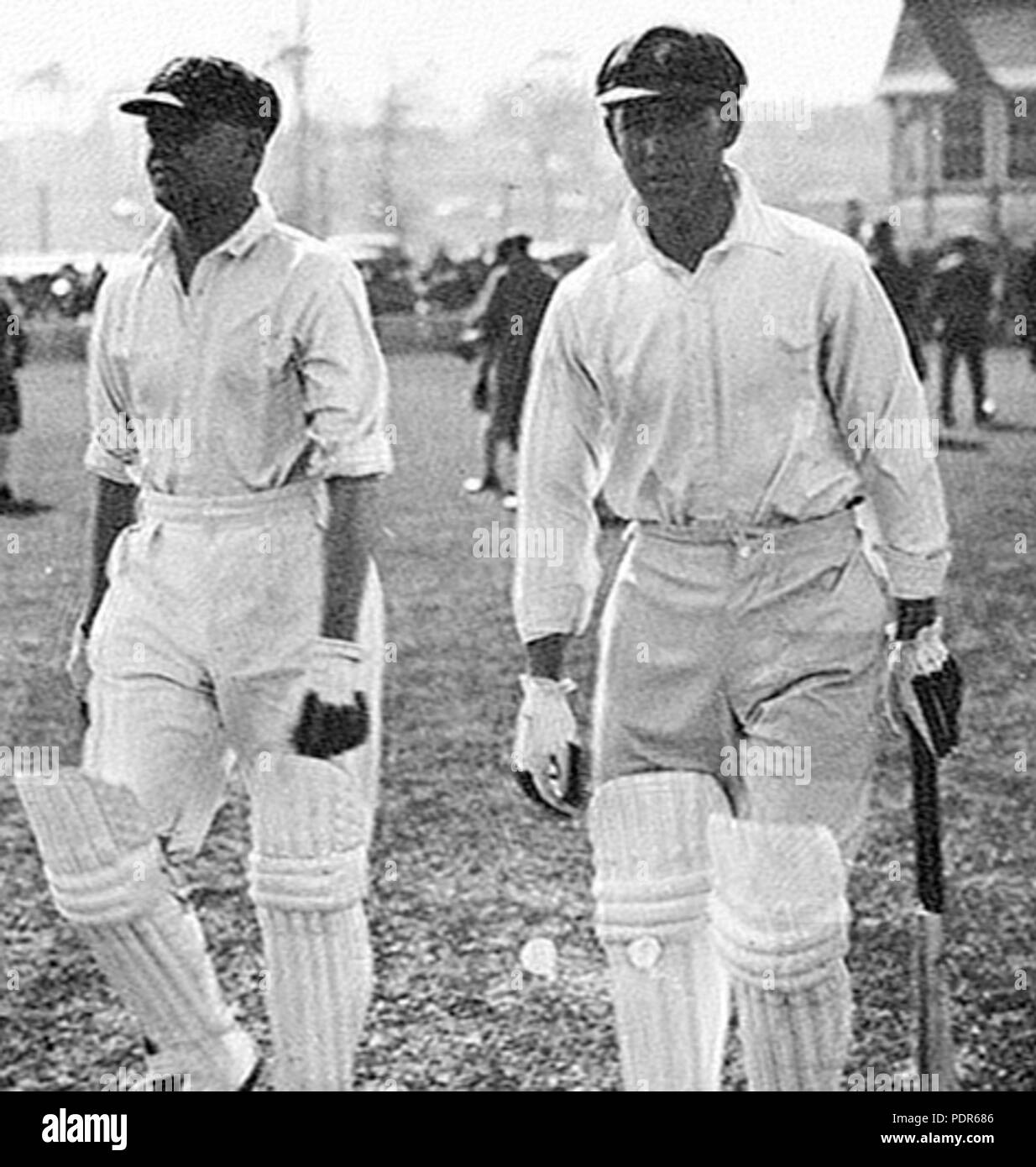 Woodfull hi-res stock photography and images - Alamy