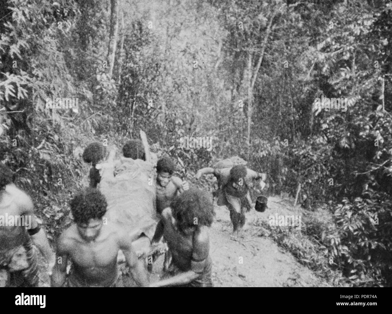 柯柯达（kokoda） hi-res stock photography and images - Alamy