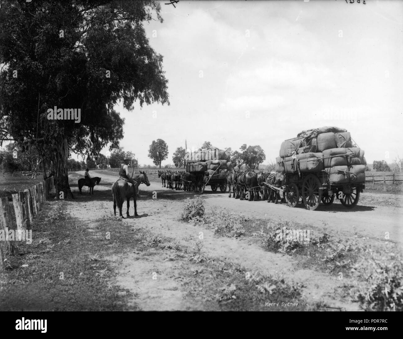 Wool bales loaded hi-res stock photography and images - Alamy