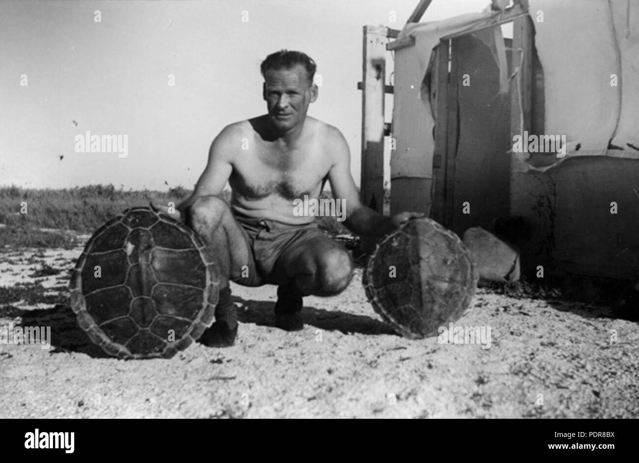 82 Man with turtle shells in Houtman Abrolhos Stock Photo - Alamy
