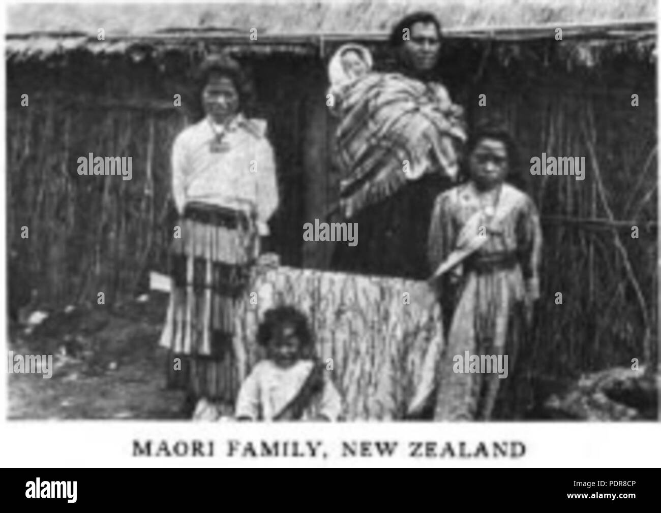 Maori family hi-res stock photography and images - Alamy