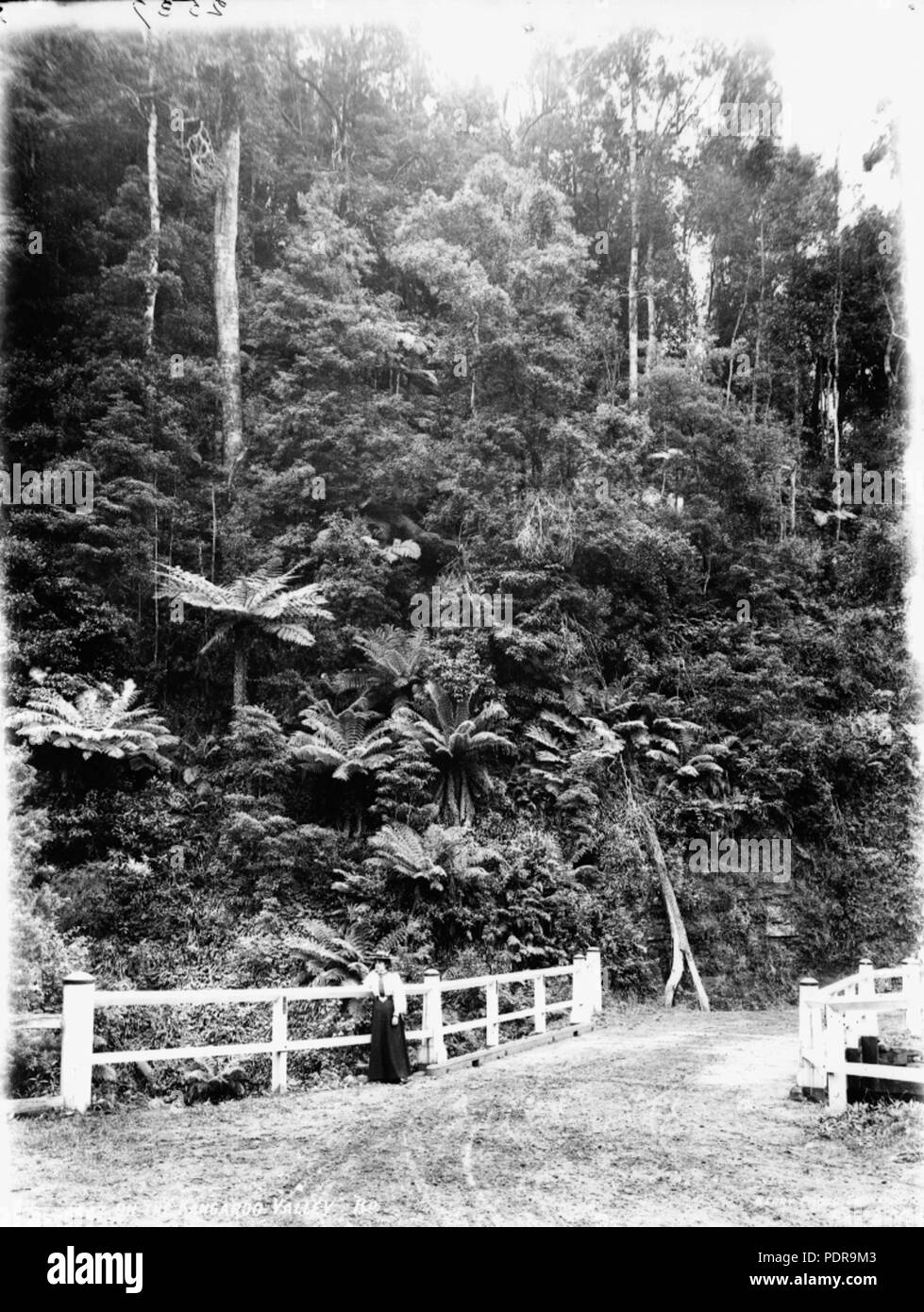 View on rural road Black and White Stock Photos & Images - Alamy