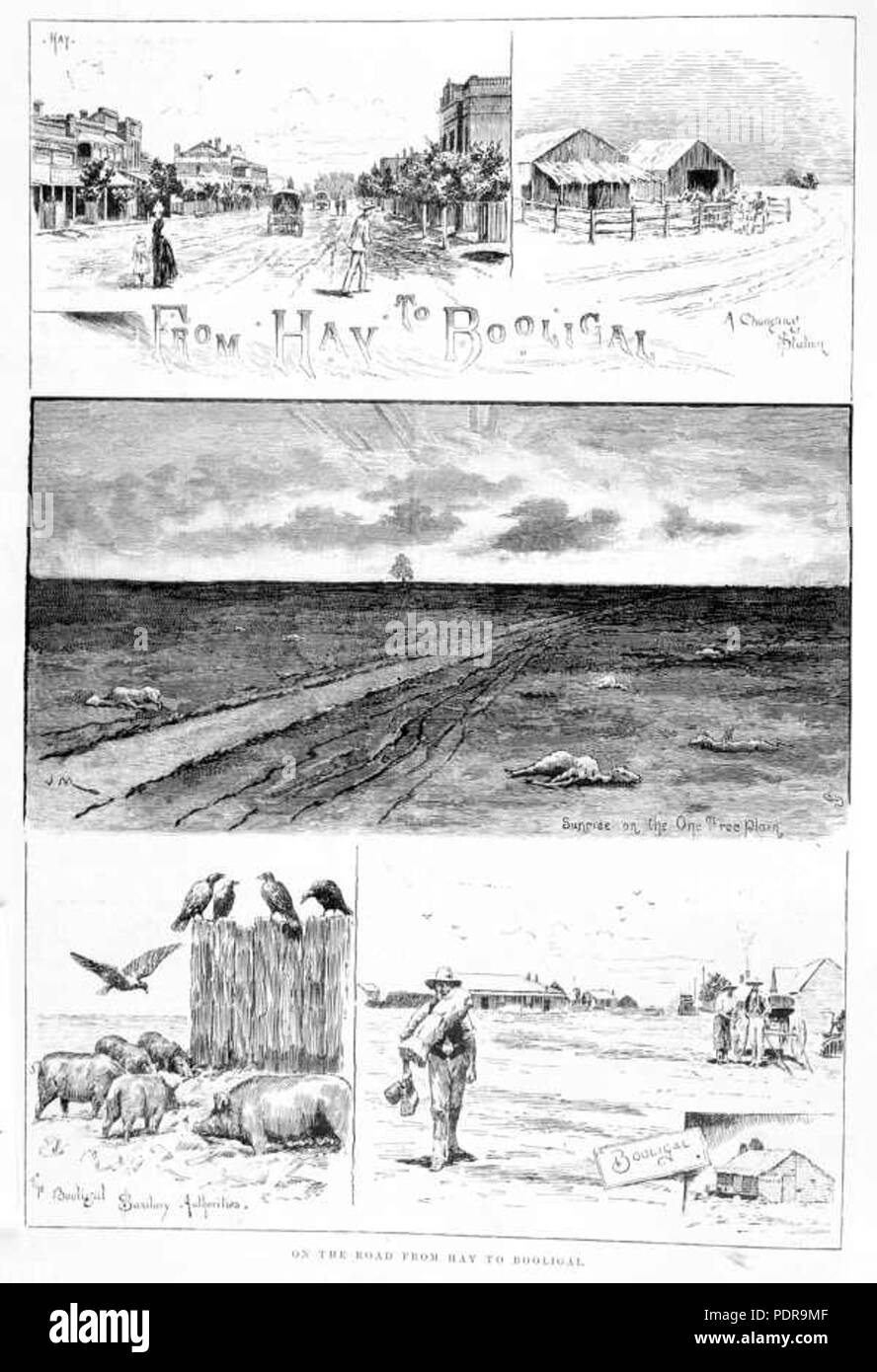 Booligal hi-res stock photography and images - Alamy