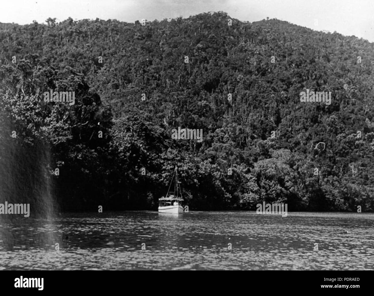 101 Queensland State Archives 1280 Graham Range Russell River NQ c 1935 ...