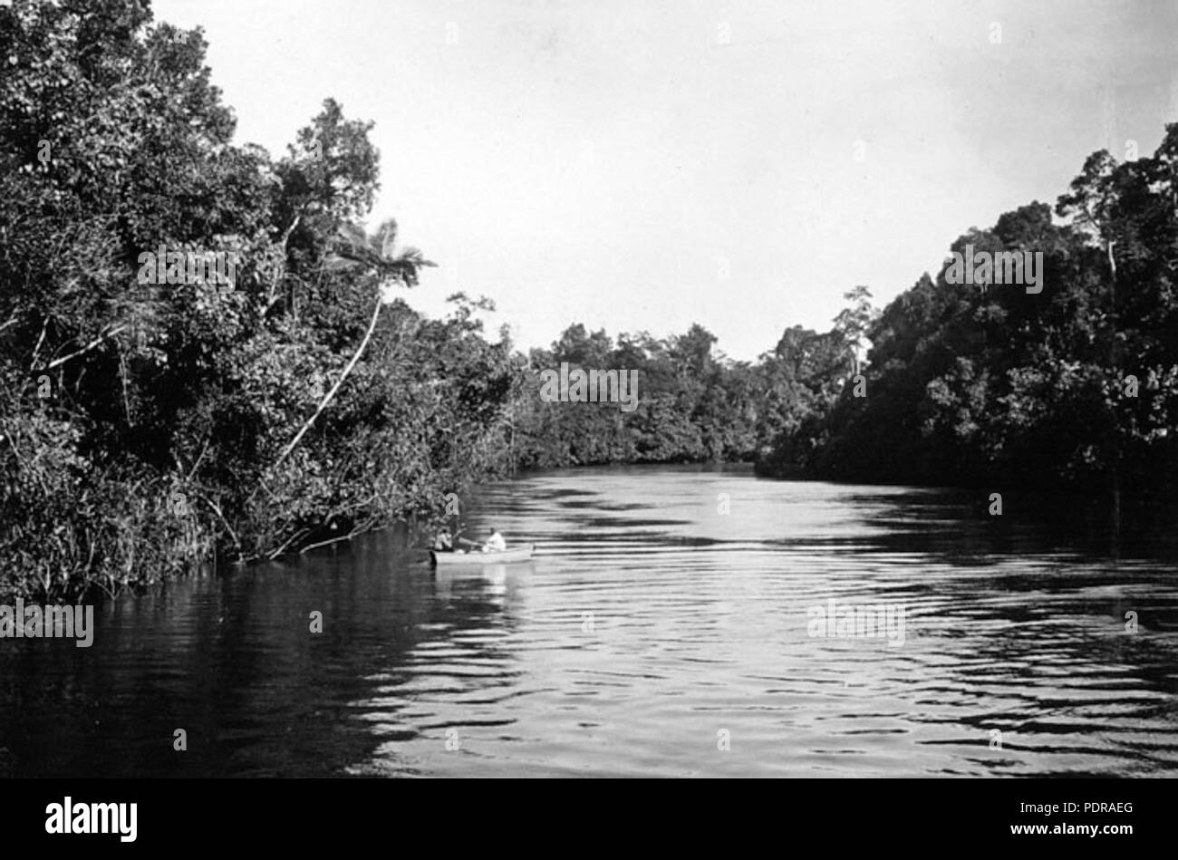 Russell river queensland hi-res stock photography and images - Alamy