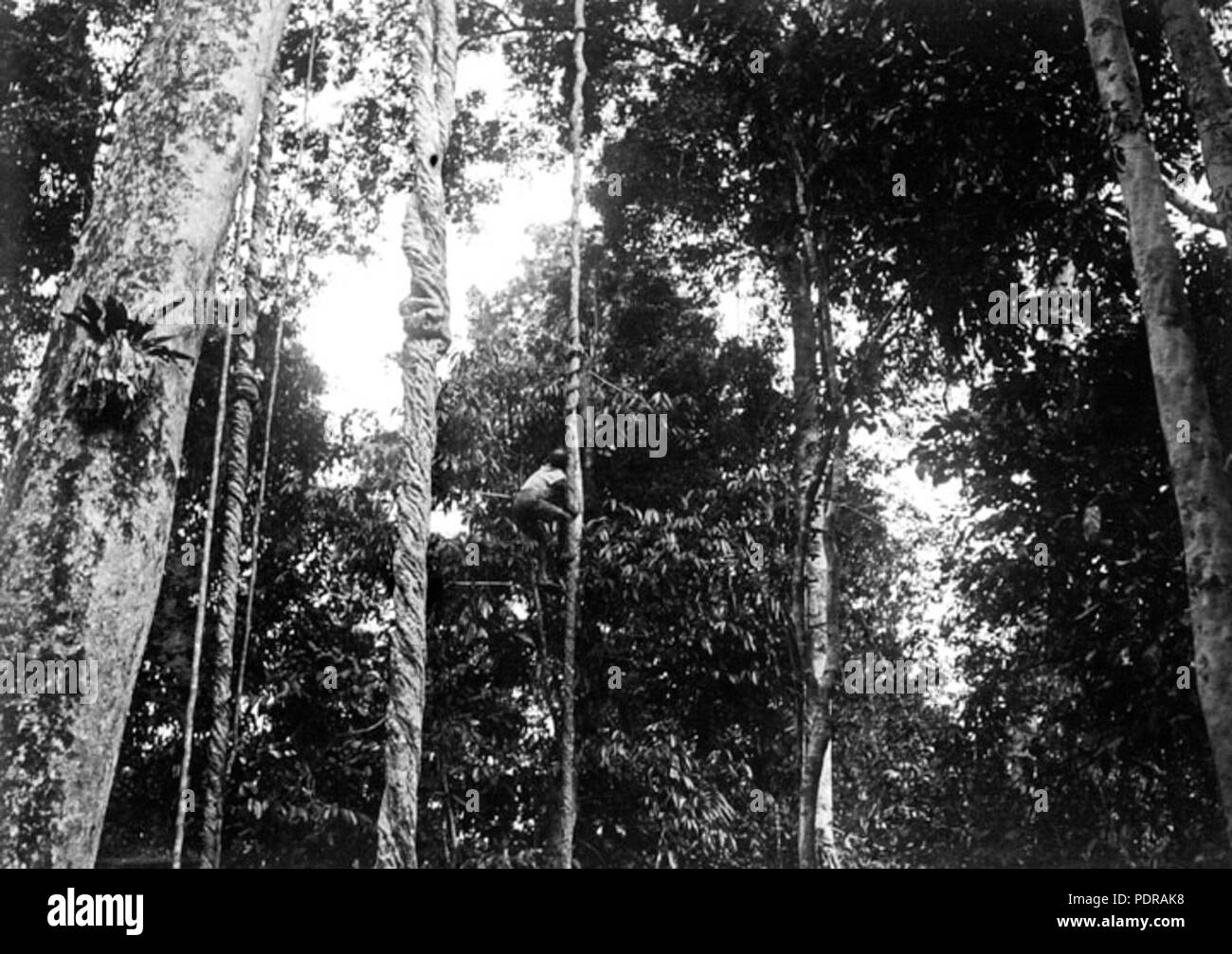 Australia aboriginal people history Black and White Stock Photos ...