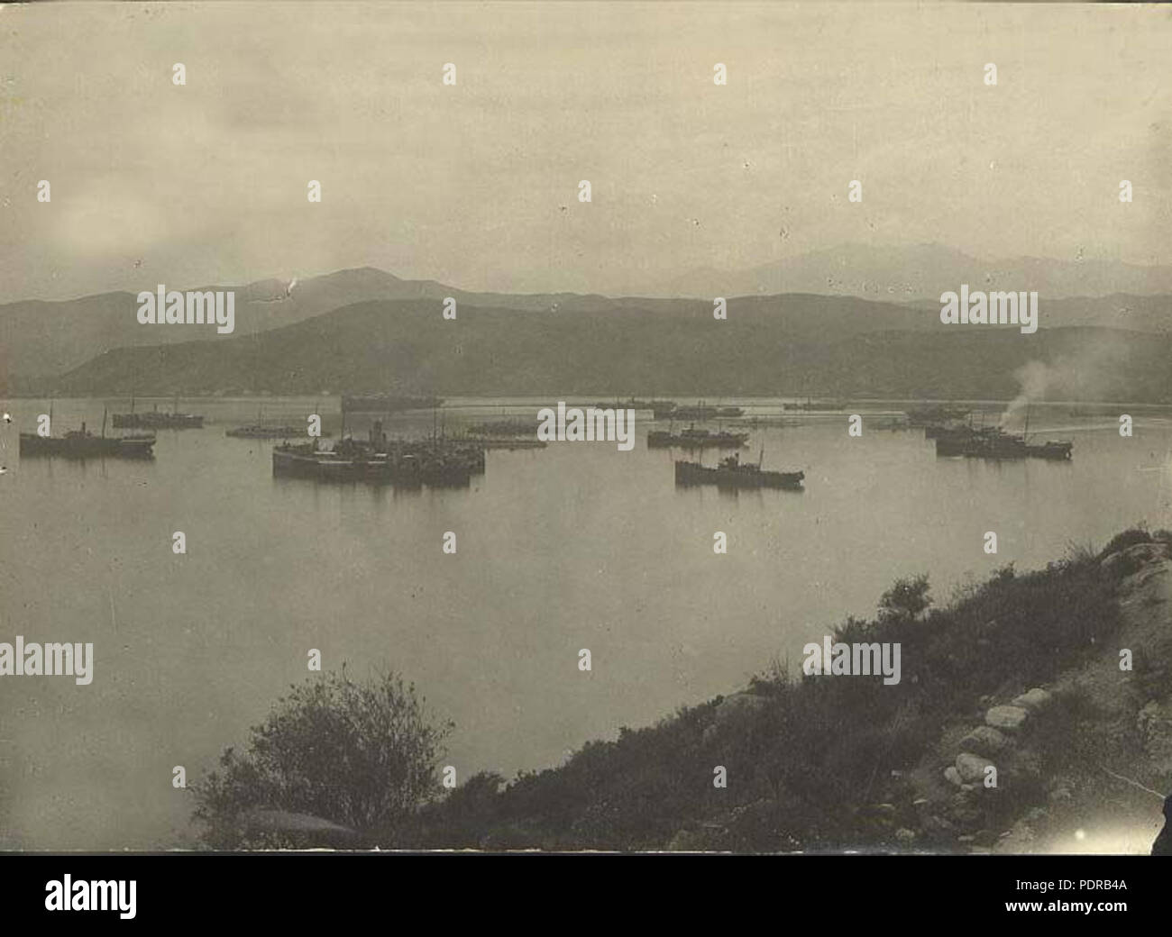 Proti hi-res stock photography and images - Alamy