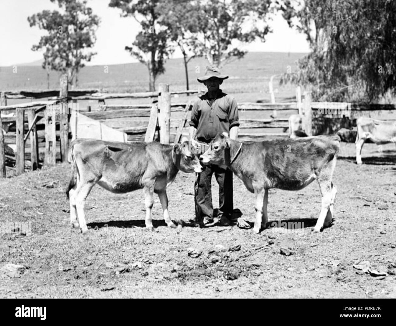 Rosevale hi-res stock photography and images - Alamy