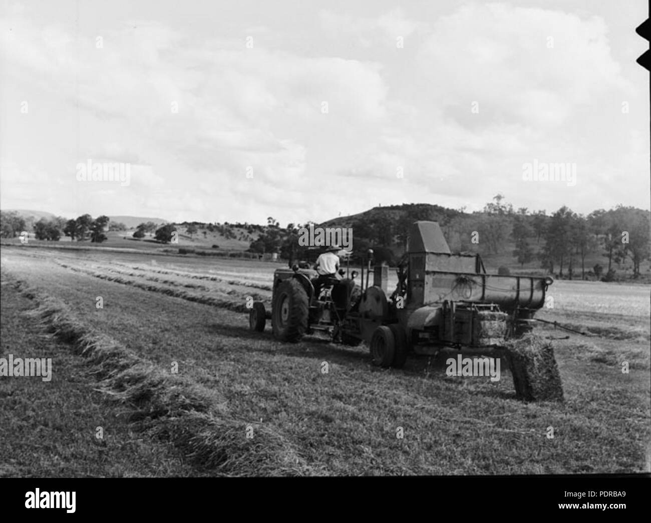 104 Queensland State Archives 1766 Fodder crops and conservation South ...