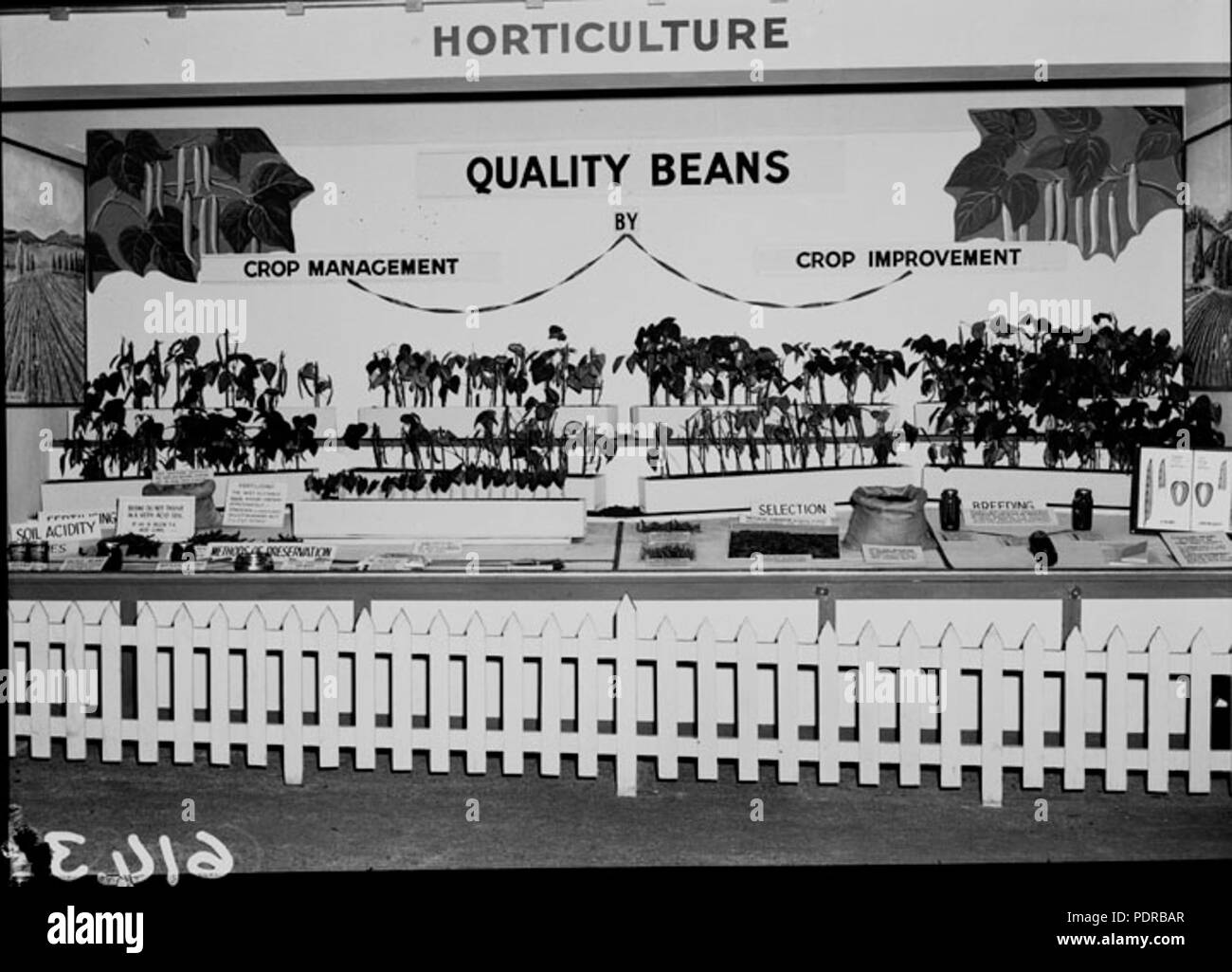 National management association Black and White Stock Photos & Images ...