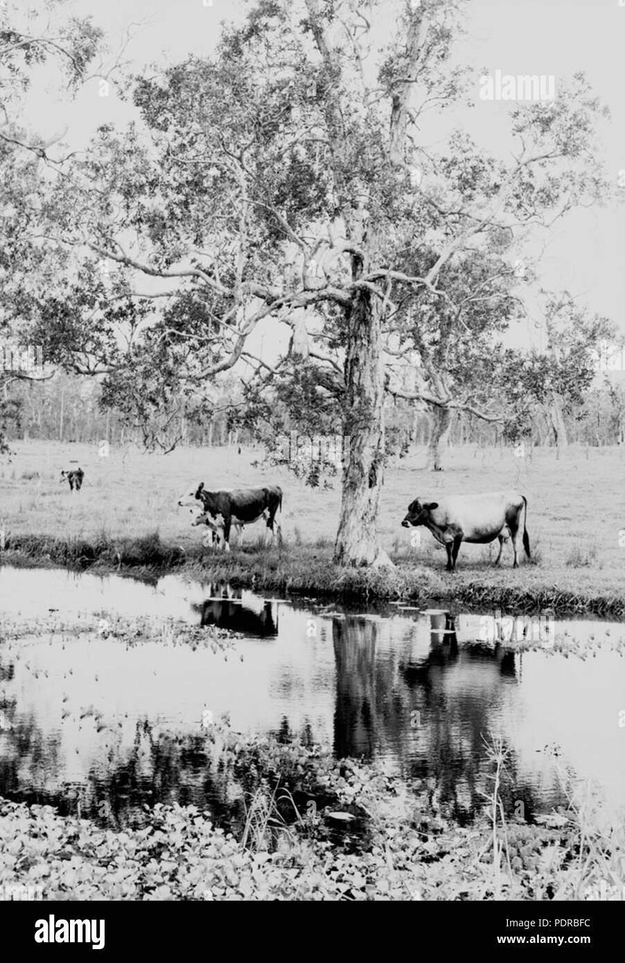 Meridan plains hi-res stock photography and images - Alamy
