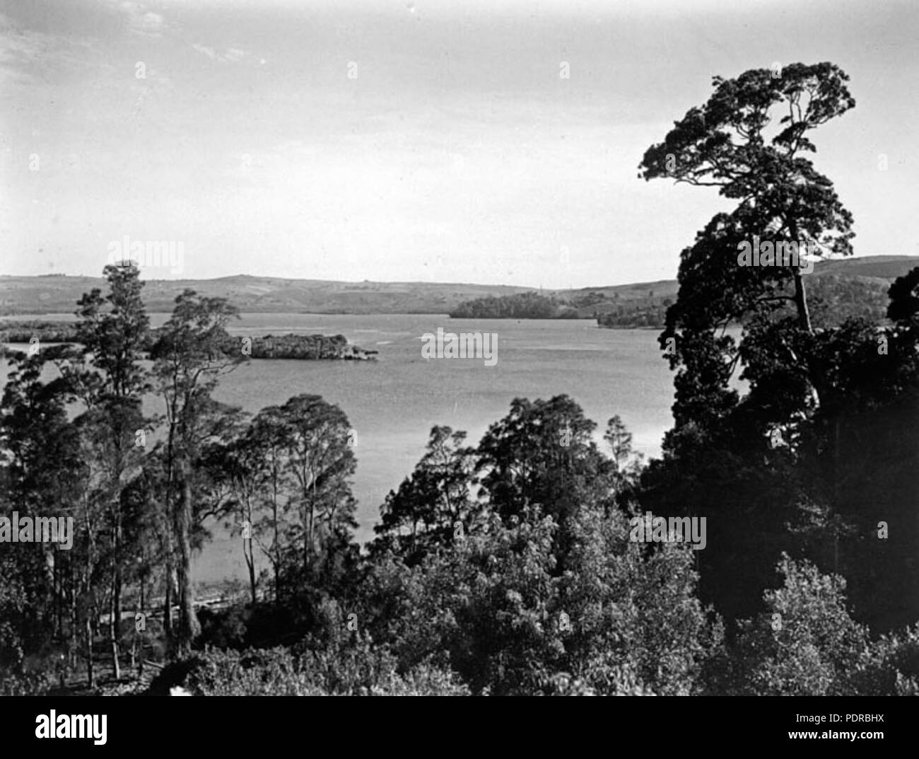 Cobaki lakes hi-res stock photography and images - Alamy