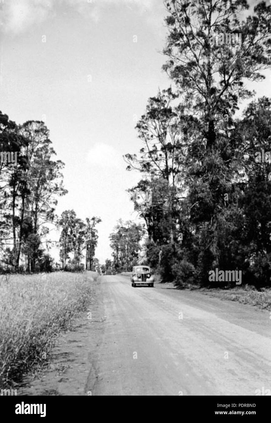 105 Queensland State Archives 2154 Scene on Memerambi Road with belah ...